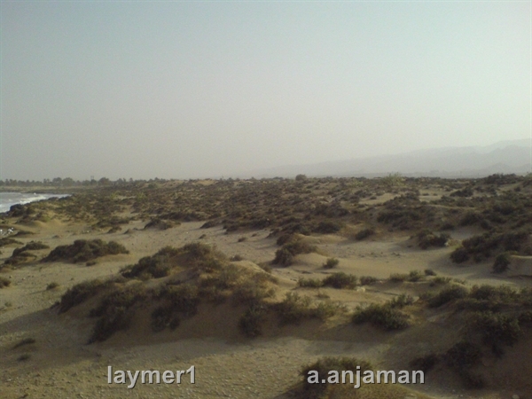 ليمر laymer ( بندر عامري ) | شهریور ۱۳۹۱